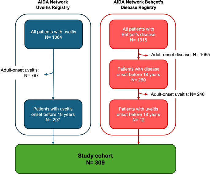 Incidence and Predictors of Ocular Complications in Pediatric-Onset Uveitis: Data from the AIDA ...