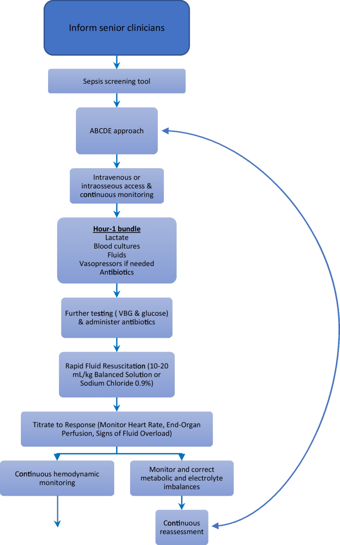 Empowering Pediatric Emergency Settings: Strategies for Improved Sepsis ...