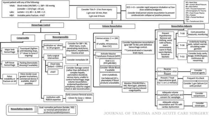 The Role of Selected Adjuncts in the Management of the Bleeding Trauma ...
