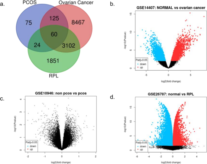 Bioinformatics Analysis of Gene Expression in PCOS, Ovarian Cancer and ...
