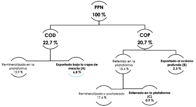 Pacifying seaweed: imagining docile objects for novel blue bioeconomies ...