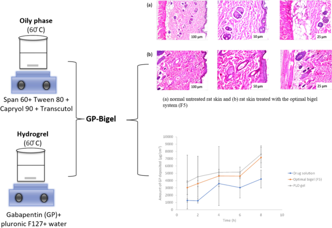 Relieving postherpetic neuralgia pain via gabapentin-loaded bigels as ...