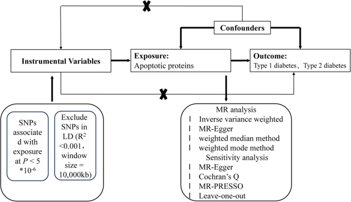Mendelian randomization analysis: investigating the causal association ...