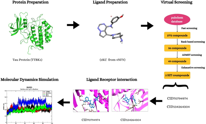 Computational identification of potential tau tubulin kinase 1 (TTBK1 ...