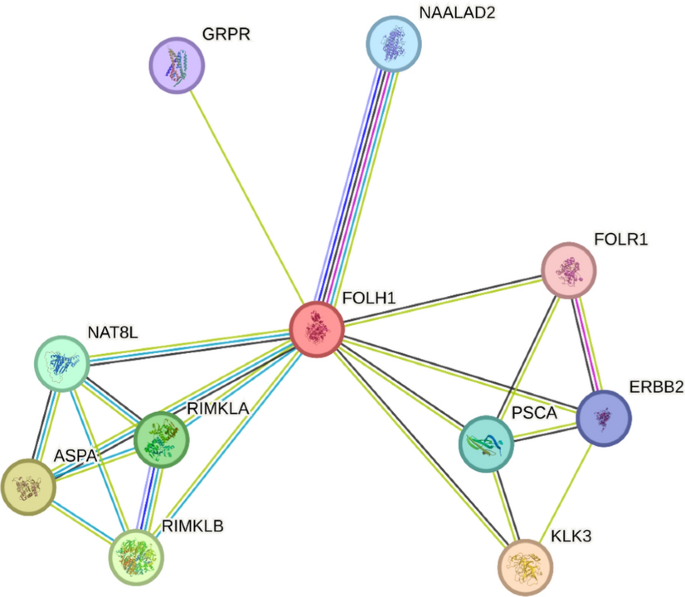 In-silico structural and functional analysis of nonsynonymous single ...