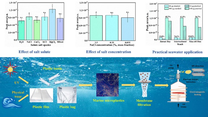 Membrane Filtration-Pyrolysis-Mass Spectrometry for the Detection of ...
