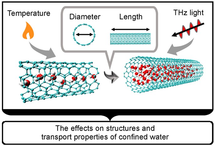 Effect of Tube Diameter and Tube Length on Confined Water in Nanotubes ...