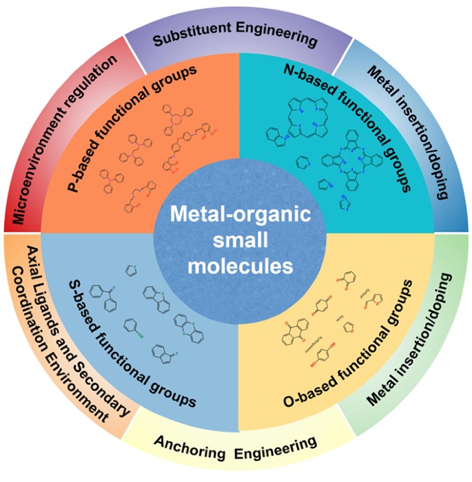 Rational Insights into Metal-Organic Molecular Electrocatalysts ...