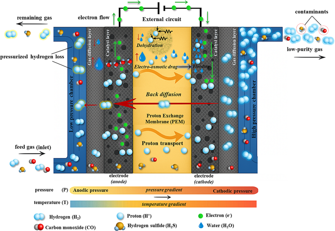 Research progress on components and design variables in electrochemical ...