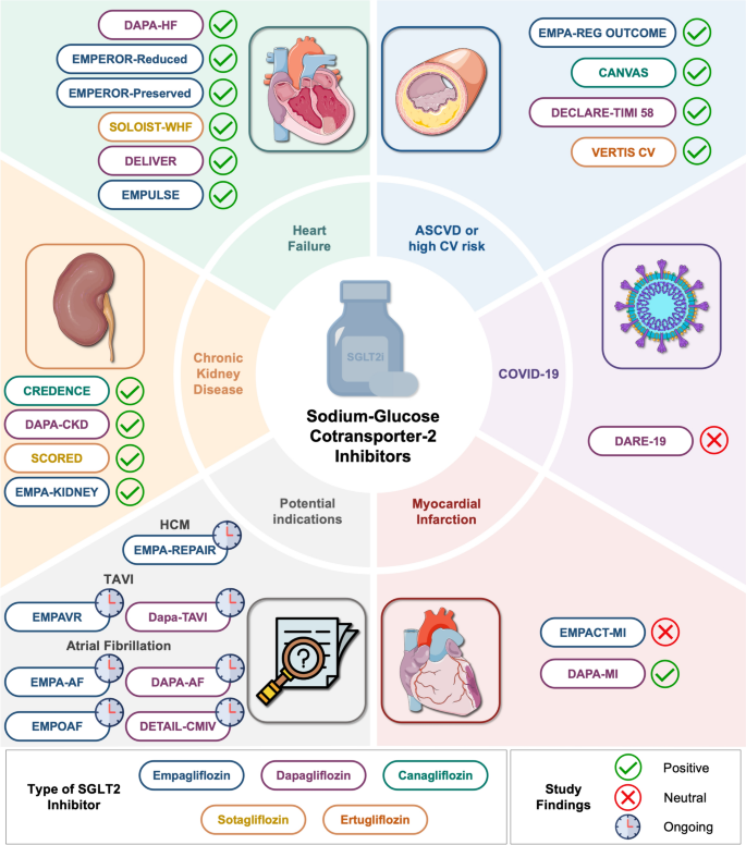 Sodium-Glucose Cotransporter-2 Inhibitors: Elevating Standards in ...