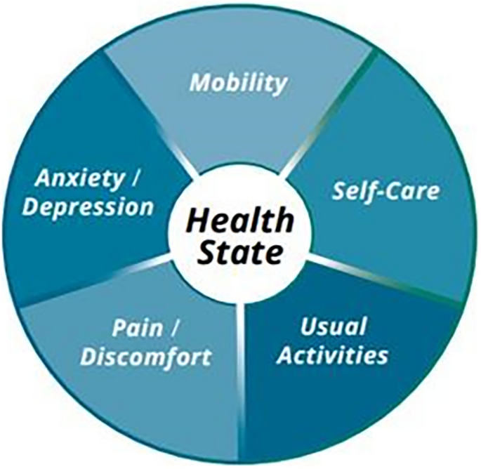 Aligning Indigenous and Western Concepts of Health Resource Decision ...