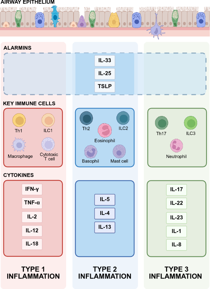 Biological Therapies in Chronic Obstructive Pulmonary Disease: New ...
