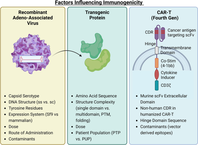 Immunogenicity of Gene and Cell Therapies | BioDrugs | Springer Nature Link