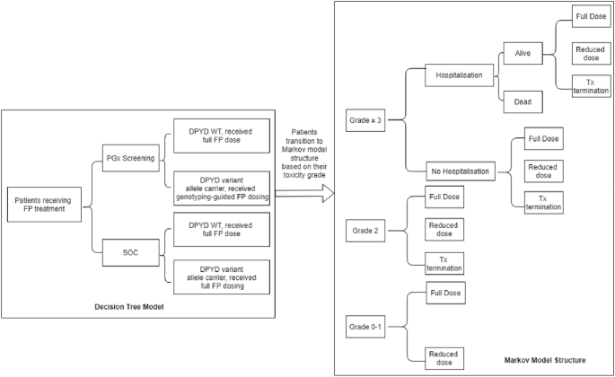 Cost-Effectiveness of Pre-emptive DPYD Genotyping Compared to Standard ...