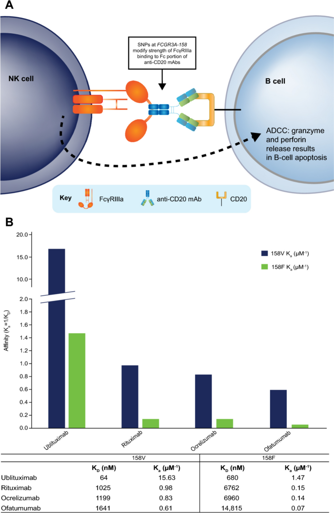Correction: The Evolution of Anti‑CD20 Treatment for Multiple Sclerosis ...
