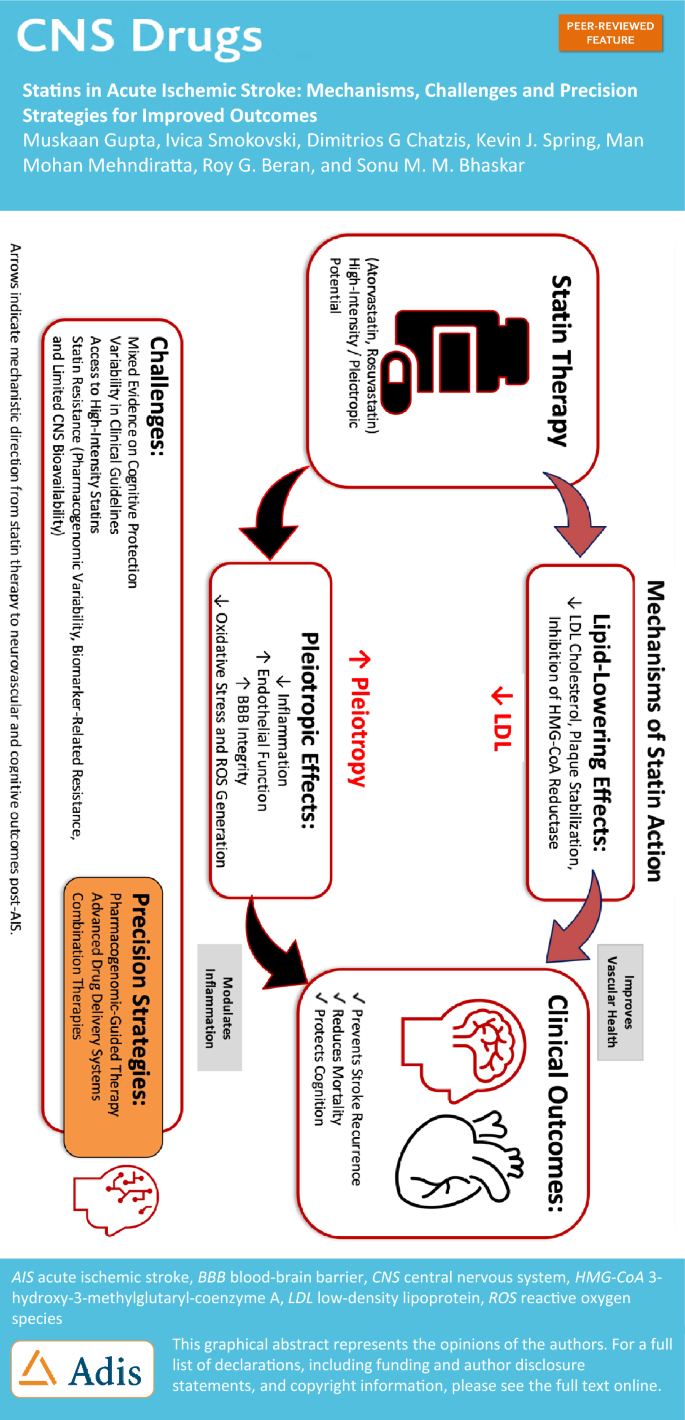 Statins in Acute Ischemic Stroke: Mechanisms, Resistance, and Precision ...