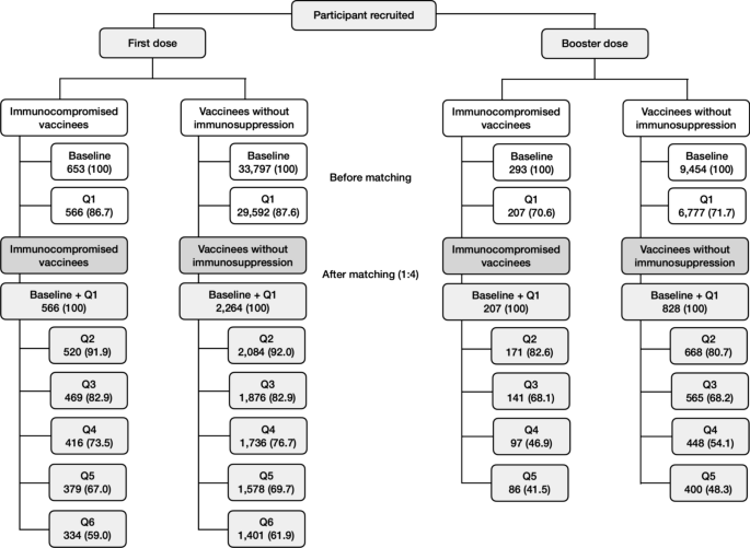 What is the Safety of COVID-19 Vaccines in Immunocompromised Patients ...