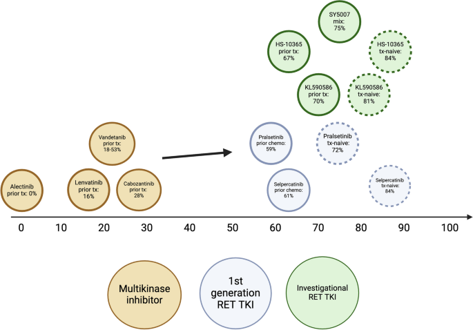 RET Inhibitors in RET Fusion-Positive Lung Cancers: Past, Present, and ...