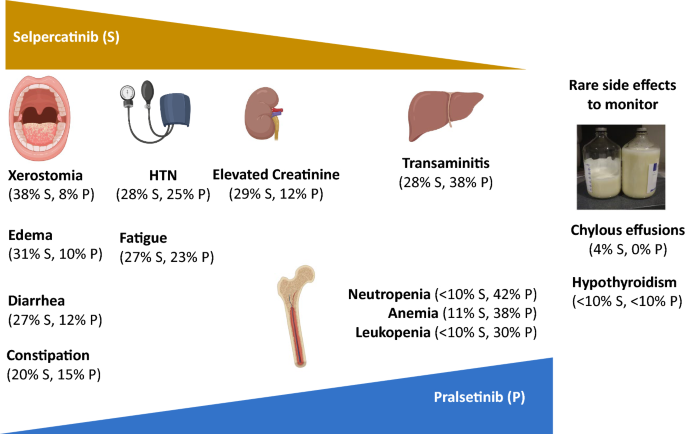 RET Inhibitors in RET Fusion-Positive Lung Cancers: Past, Present, and ...