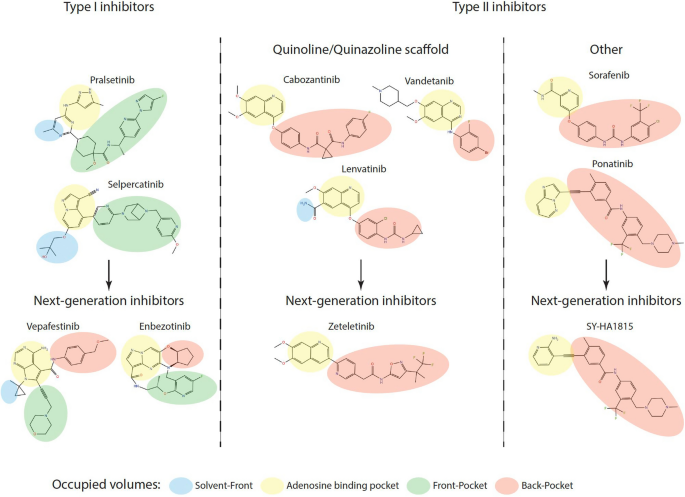 RET Inhibitors in RET Fusion-Positive Lung Cancers: Past, Present, and ...