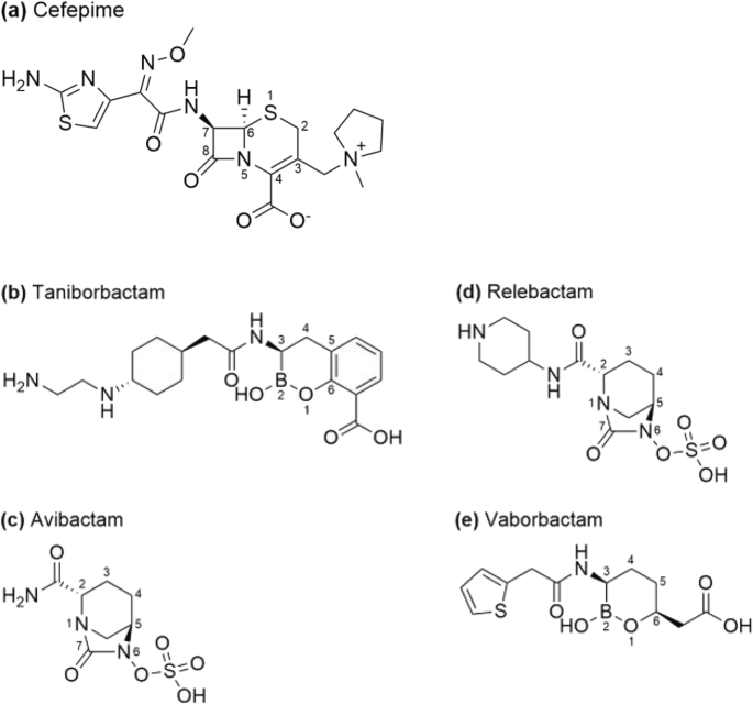 Cefepime–Taniborbactam: A Novel Cephalosporin/β-Lactamase Inhibitor ...