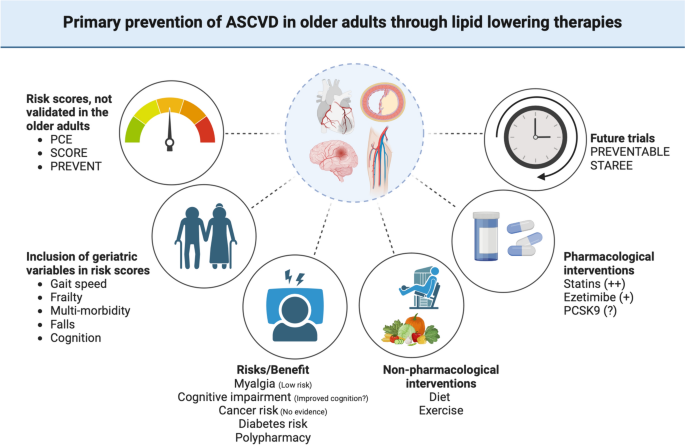 Treating Hypercholesterolemia in Older Adults for Primary Prevention of ...
