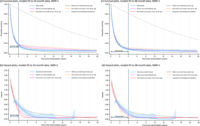 Mixture and Non-mixture Cure Models for Health Technology Assessment ...