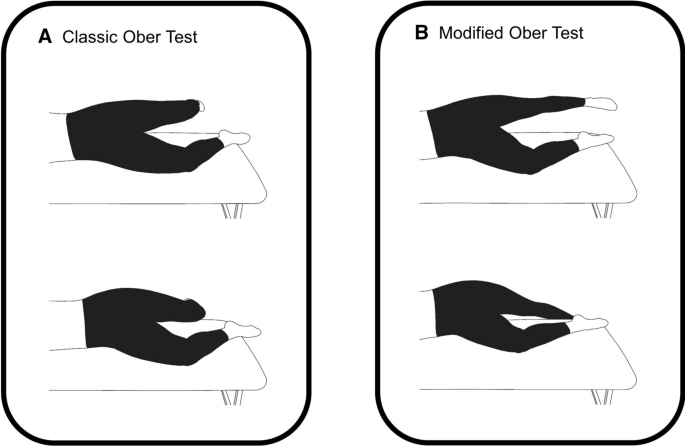 The Iliotibial Band: A Complex Structure with Versatile Functions ...