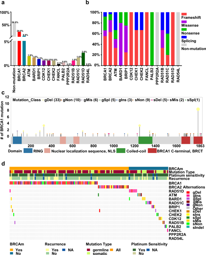 Is the Homologous Recombination Repair Mutation Defined by a 15-Gene ...