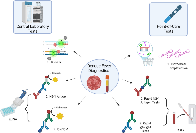 Dengue Fever Diagnosis: Performance Characteristics of Current Tests ...