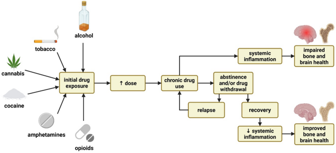 Interactions among Substance use disorders, Inflammation, and Bone ...