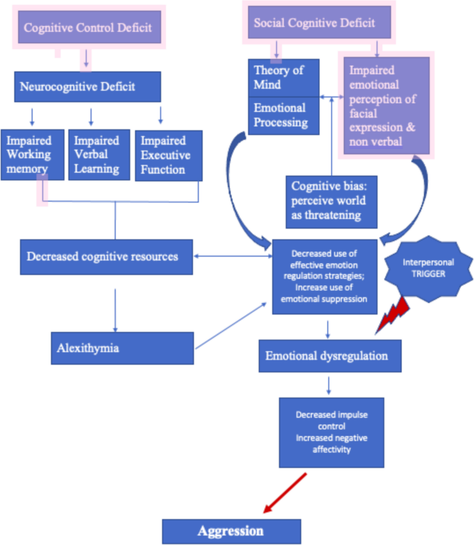 Social-emotional and Cognitive Factors in Understanding Emotion ...