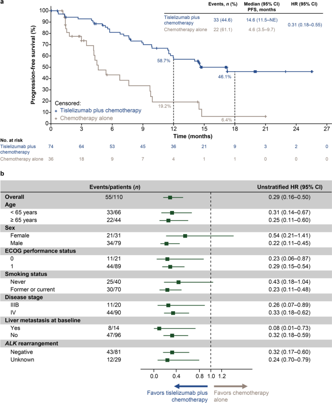 First-Line Tislelizumab Plus Chemotherapy in Advanced Non-Squamous Non ...
