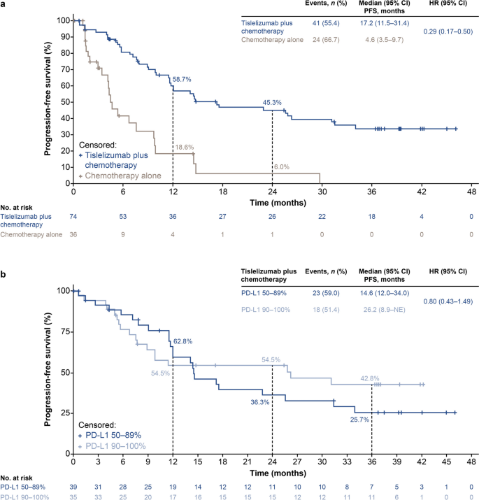 First-Line Tislelizumab Plus Chemotherapy in Advanced Non-Squamous Non ...