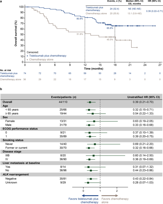First-Line Tislelizumab Plus Chemotherapy in Advanced Non-Squamous Non ...