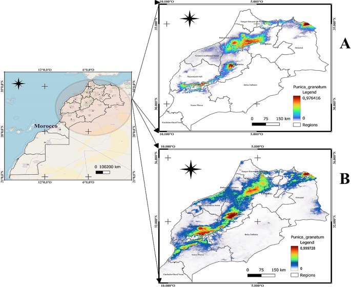 Climate change resilience of pomegranate: a comprehensive analysis of ...
