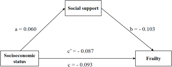 The relationship among socioeconomic status, social support and frailty ...