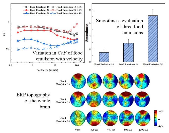 Study on the influence of food emulsion components on its lubrication ...