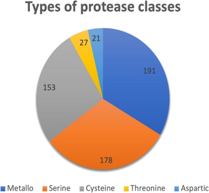 Proteases as Therapeutics in Cancer | Current Molecular Biology Reports