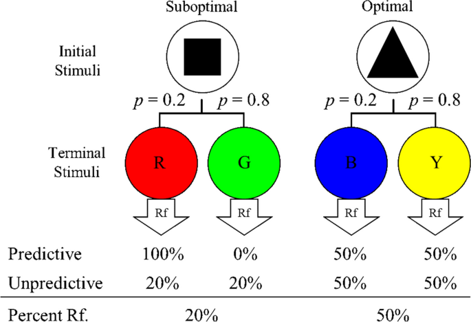 Human Behavior in Suboptimal Choice Tasks: Defining Optimality ...