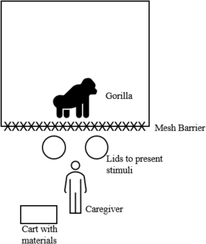 Development and Demonstration of Paired Stimulus Preference Assessment ...