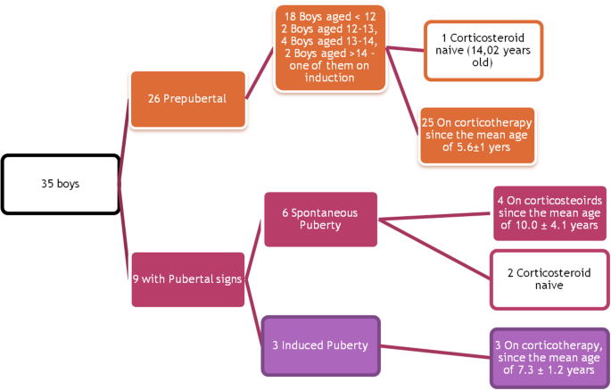 Endocrinological complications of Duchenne muscular dystrophy and their ...