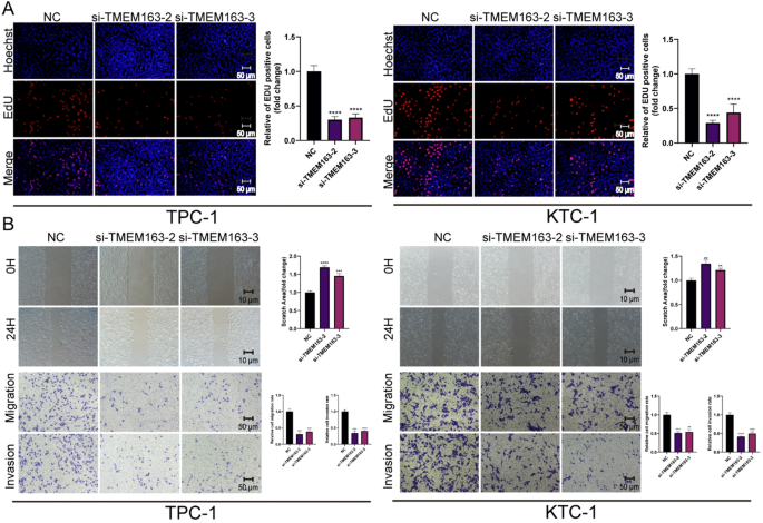 Correction: The role of TMEM163 protein in thyroid microcarcinoma ...