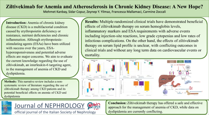 Ziltivekimab for anemia and atherosclerosis in chronic kidney disease ...