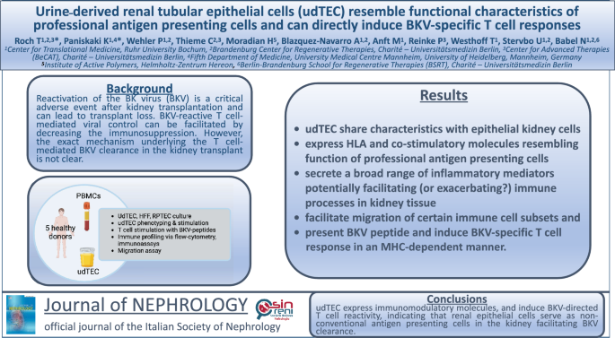 Urine-derived renal tubular epithelial cells resemble functional ...
