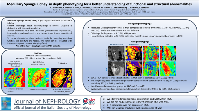 Medullary sponge kidney: in-depth phenotyping for a better ...