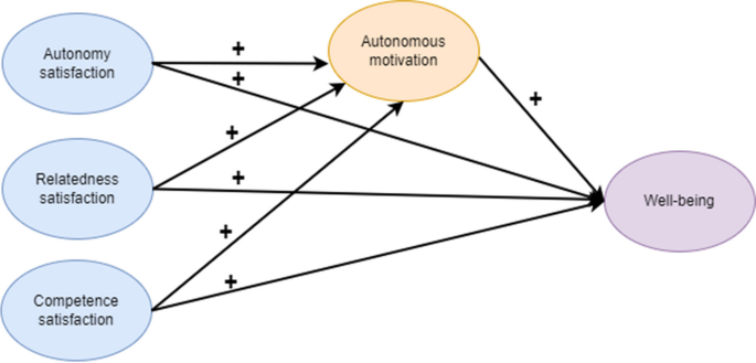 Paths to Autonomous Motivation and Well-being: Understanding the ...