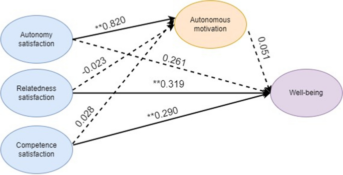 Paths to Autonomous Motivation and Well-being: Understanding the ...