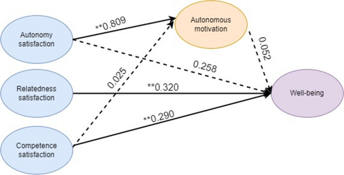 Paths to Autonomous Motivation and Well-being: Understanding the ...