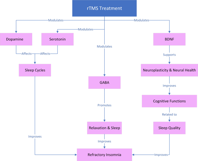 Advancements of Potential Mechanisms of Repetitive Transcranial ...